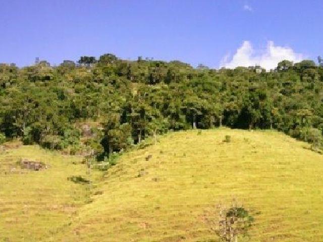 Excelente oportunidade: Sítio à venda na Vila Maria, Piranguçu MG, com 570.000,00 m² de área!