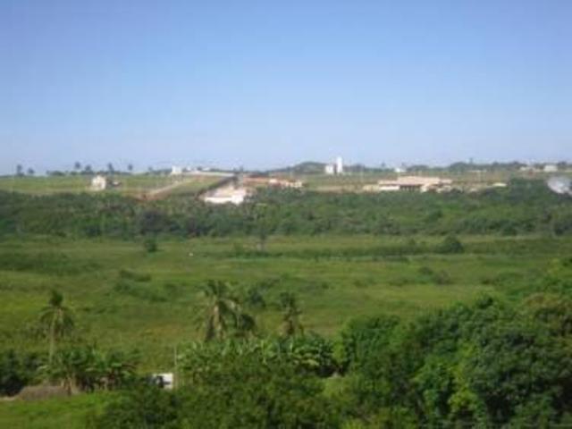 Excelente Oportunidade Sítio Granja