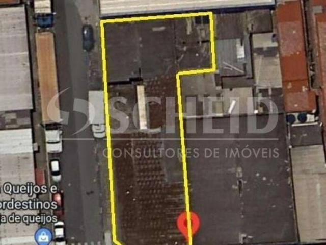 Excelente Oportunidade: Terreno Comercial no Brás 450 m²