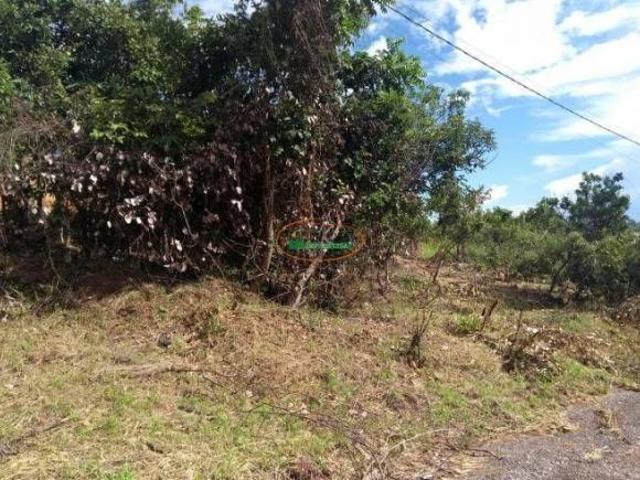 Excelente Lote