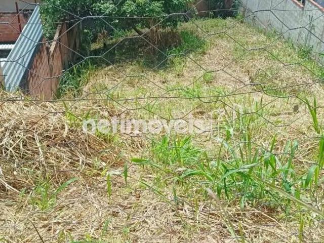 Excelente lote à venda no São Marcos, 360m²
