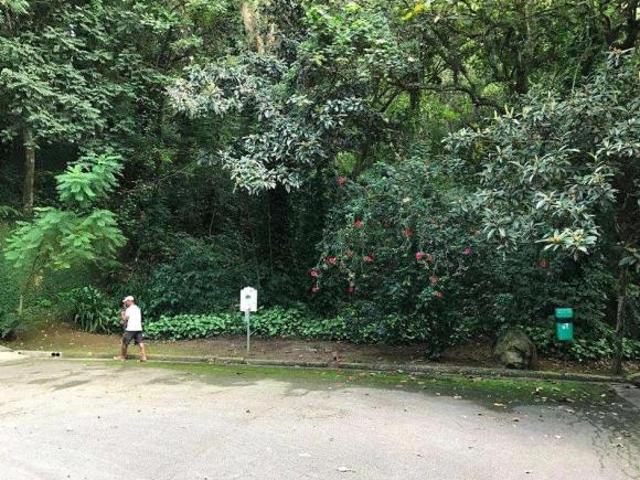 EXCELENTE LOTE A VENDA GRANJA VIANA JANDIRA