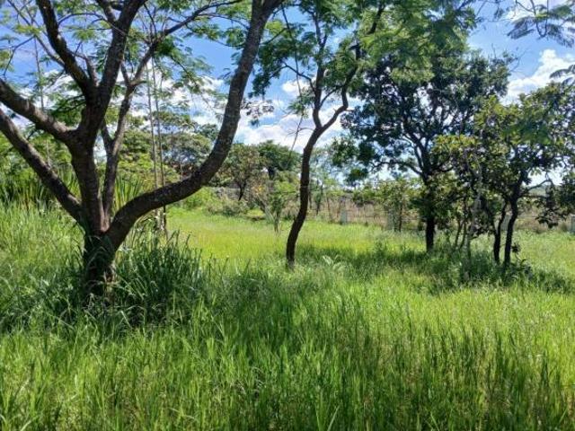 EXCELENTE LOTE À VENDA – PARK WAY
