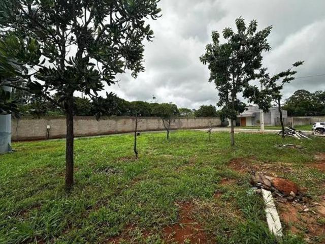 Excelente Lote Condomínio Via Leblon Setor Habitacional Tororó Jardim botânico DF