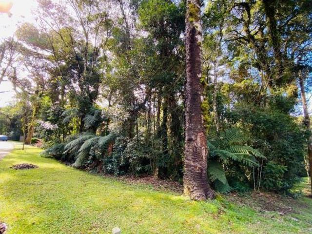 EXCELENTE LOTE DE ESQUINA NO RESERVA DA SERRA