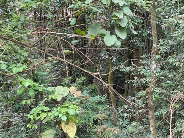 Excelente lote em condominio no bairro Jardins de Petrópolis!