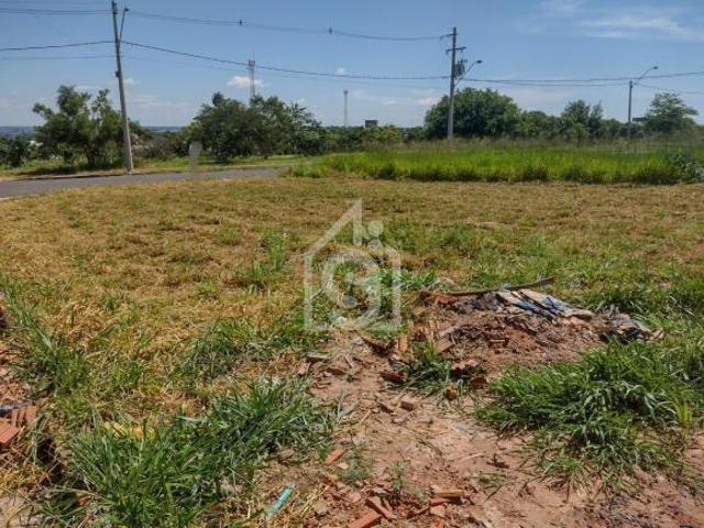 Excelente Lote Misto de Esquina com 317m² na Avenida – Perfeito para Comércio