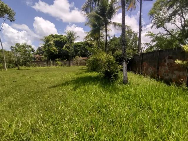 Excelente lote na melhor região de Aldeia