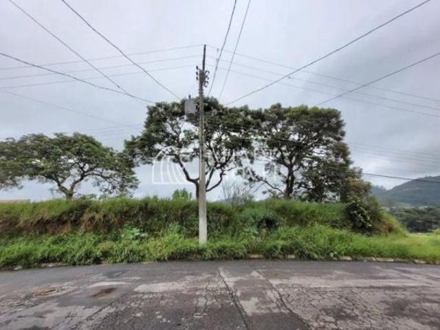 Excelente lote para construção de casas em Mogi das Cruzes. OPORTUNIDADE!