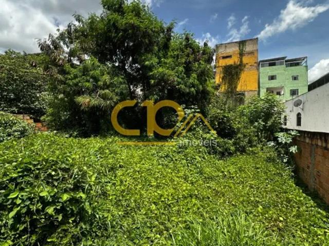 Excelente lote rua tranquila 12 metros de frente