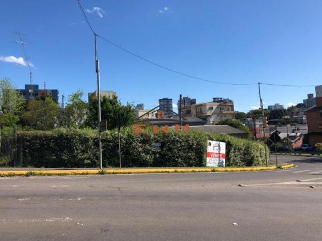 Excelente localização