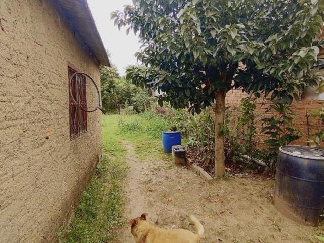 Excelente Mini Sítio no Bairro Belém Velho com casa boa e terreno de 1.370,00m