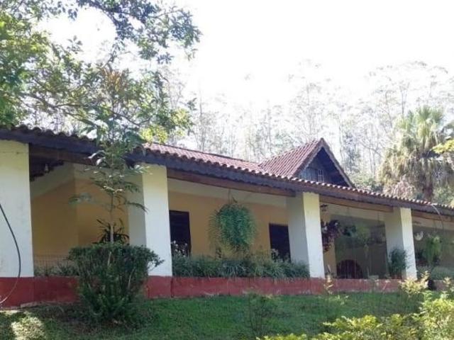 EXCELENTE SÍTIO COM PISCINA E LAGOS COD: 5231 F: 11 97302 9229 CESAR