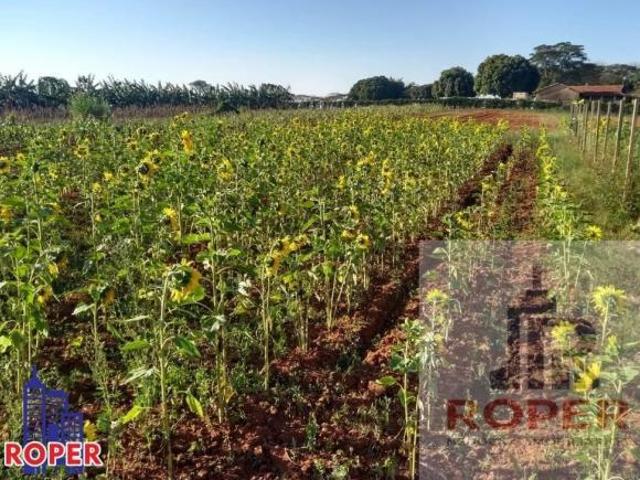 EXCELENTE SÍTIO COM 45.560 METROS À VENDA EM SOROCABA