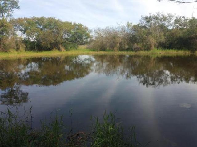 Excelente Sítio ´a Venda, 59.000 m² com Represa – Localização Premium