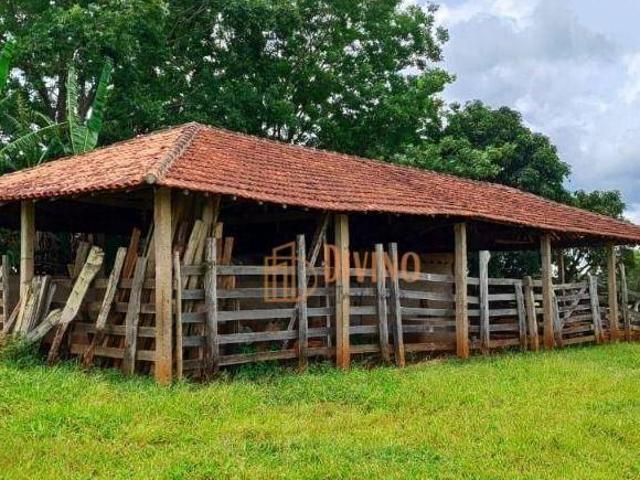 Excelente Sítio à Venda com Gado Incluso – Itapetininga/SP
