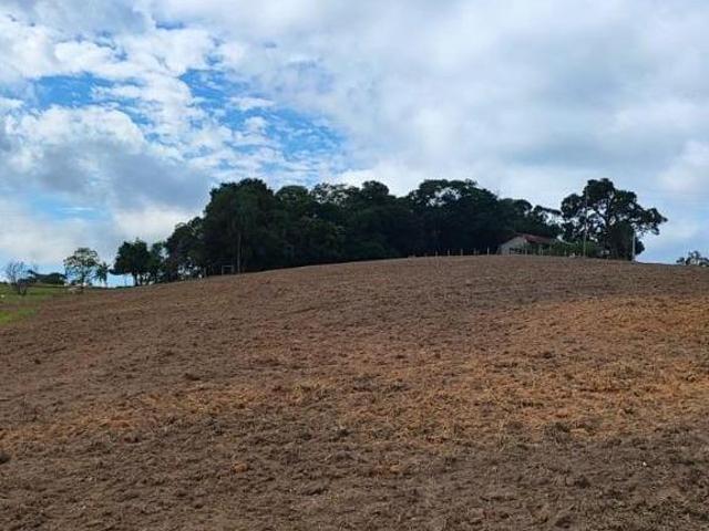 EXCELENTE SÍTIO A VENDA EM ITAPETININGA SP ? Agricultura e Pecuária Área Total: 15,5 Alqueire