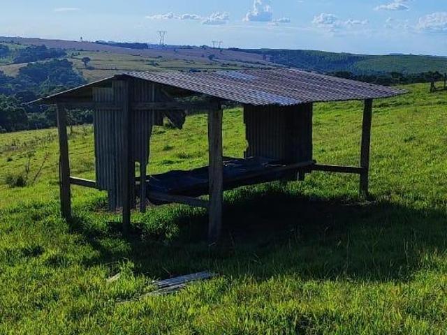 EXCELENTE SÍTIO A VENDA EM ITAPETININGA SP ? Área Total: 5 Alqueires Pastagem: 4 Alqueires Sol