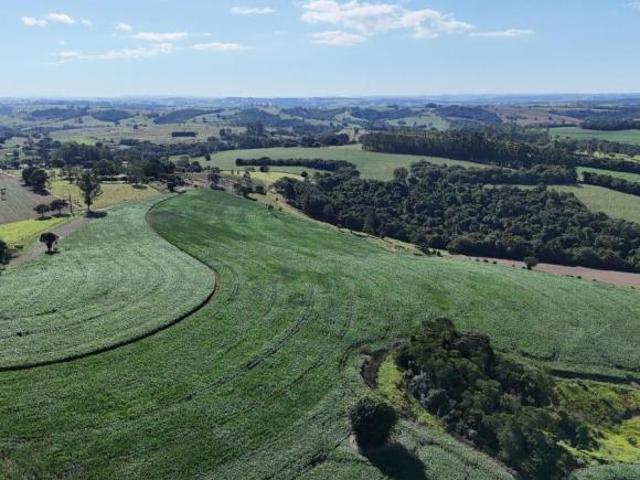 EXCELENTE SÍTIO A VENDA EM ITAPETININGA SP* ? Área Total: 9,2 Alqueires ou 22,26 Hectares Ag