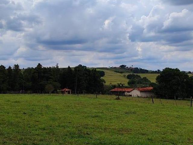 EXCELENTE SÍTIO A VENDA EM ITAPETININGA SP ? Área Total: 22 Hectares ou 9,09 Alqueires Em Pasto