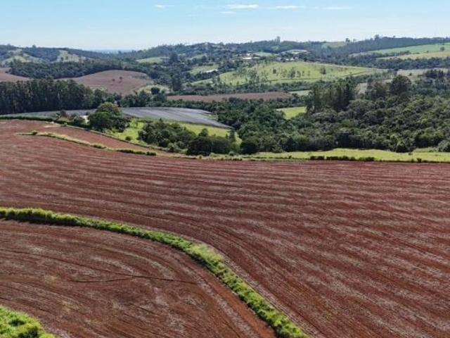 EXCELENTE SÍTIO A VENDA EM SÃO MIGUEL ARCANJO SP* ? Formação: Agricultura e Pecuária Área To