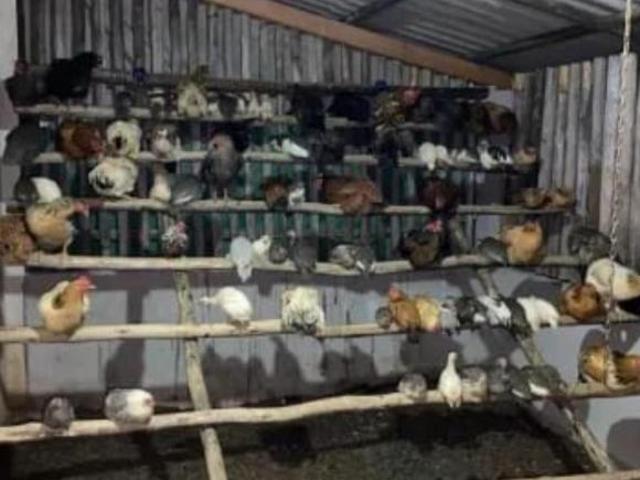 EXCELENTE SÍTIO A VENDA EM SÃO MIGUEL ARCANJO SP ? Formação: Pastagem e Piscicultura Área To