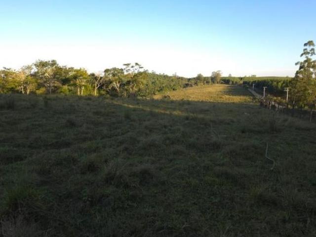 EXCELENTE SÍTIO A VENDA NA REGIÃO DE ITAPETININGA SP* ? Área Total: 18,5 Alqueires Pastagem: 1