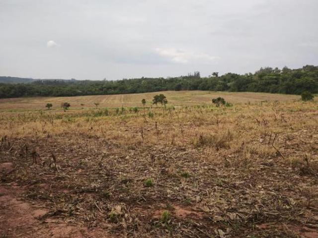 EXCELENTE SÍTIO A VENDA NA REGIÃO DE ITAPETININGA SP ? Área Total: 32,91 Hectares ou 13,6 Alqueir