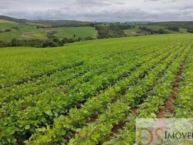EXCELENTE SÍTIO A VENDA NA REGIÃO DE SOROCABA SP, COM ÁREA TOTAL 20 ALQUEIRES, TERRA MISTA E TOPOGRA