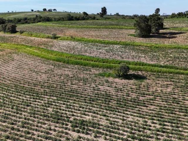 EXCELENTE SÍTIO A VENDA NA REGIÃO DE SOROCABA SP* ? Área Total: 12,42 Alqueires ou 30,07 Hectare