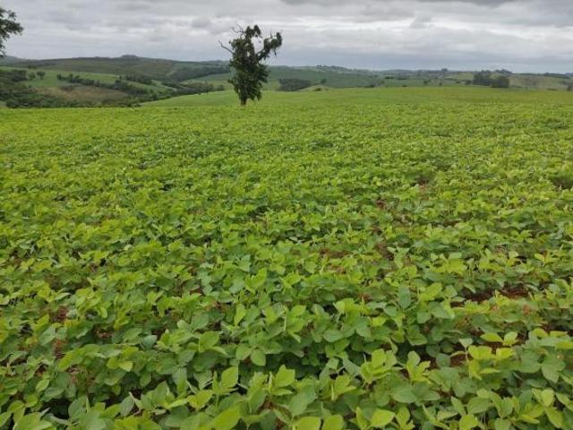 EXCELENTE SÍTIO A VENDA NA REGIÃO DE SOROCABA SP* ? Área Total: 20 Alqueires Agricultura: 14,5