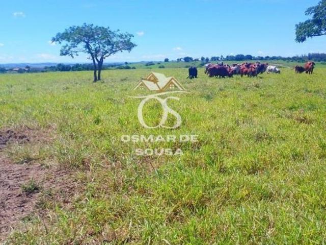 Excelente sítio de 10 Alqueires em Quadra SP