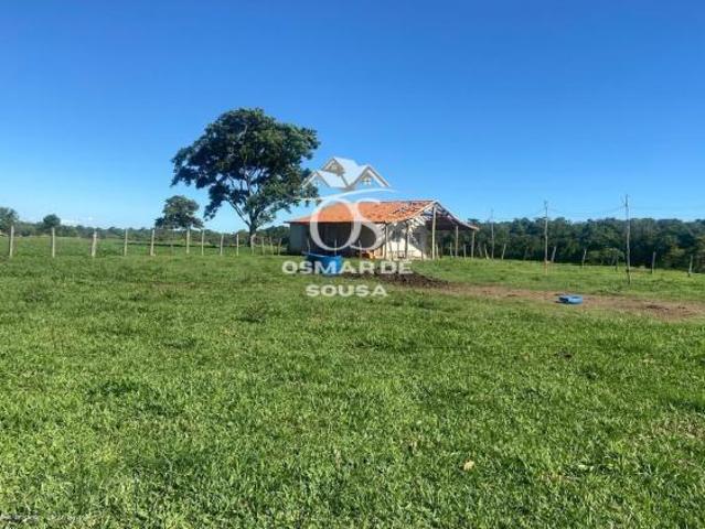 Excelente Sítio de 17,5 Alqueires em Porangaba SP