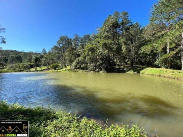 EXCELENTE SÍTIO DE 62.000 M² C/2 BELOS LAGOS, C/ RODA/ÁGUA, PISCINA, IMÓVEL COM UMA BOA ESTRUTURA