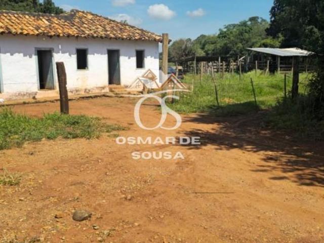 Excelente Sítio de 9,5 Alqueires em Cesário Lange