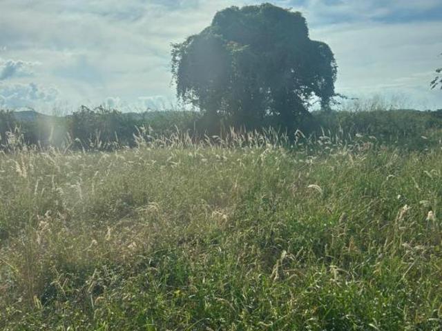 EXCELENTE SÍTIO EM CÁSSIA MG COM 6,8 ALQUEIRES Á VENDA