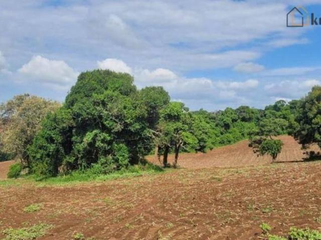 Excelente sitio em Bragança Paulista 08 alqueires com escritura registrada, rico em água confira!