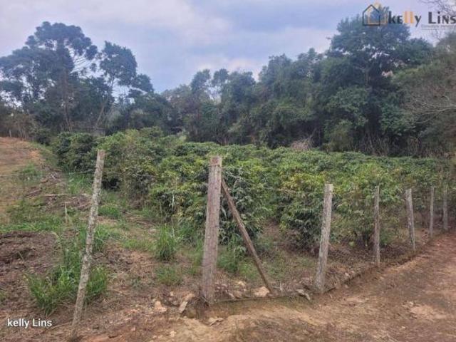 Excelente sitio em Monte Alegre 10 alqueires com escritura registrada, rico em água com 03 casas con