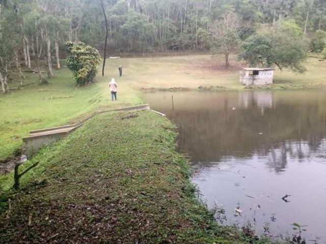 Excelente Sitio em São Lourenço da Serra SP