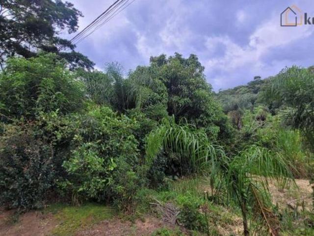 Excelente sitio em Pinhalzinho área com 32.000 m² com casa sede, caseiro rico em fruticultura, agend