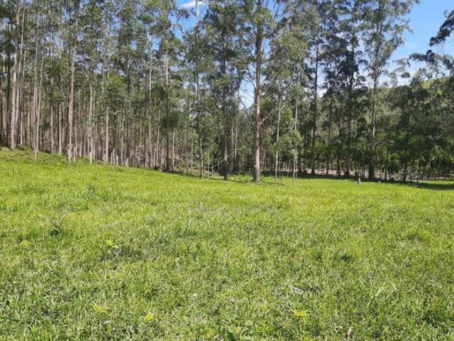 Excelente Sítio Rural – Infraestrutura e Natureza em Harmonia