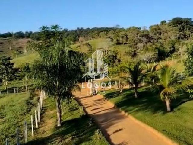 Excelente propriedade com 75 hectares em Goianá MG 02