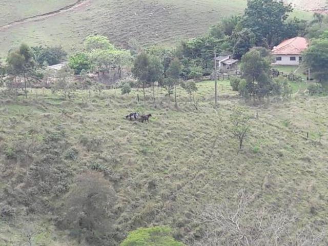 Excelente propriedade à venda com 14 alqueires e acesso à represa