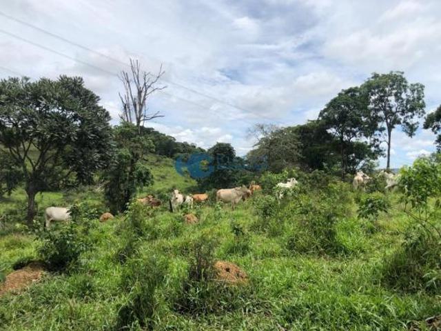 Excelente propriedade para investidor, com 50 hectares, á 7 minutos da prefeitura