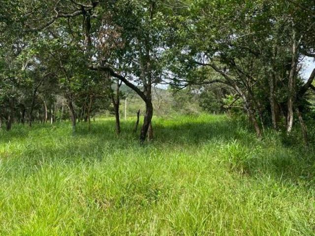 EXCELENTE PROPRIEDADE PLANA COM NASCENTE, LAGOA E RIBEIRÃO EM ITAÚNA/MG