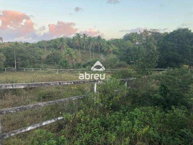 Excelente área em São José de Mipibu