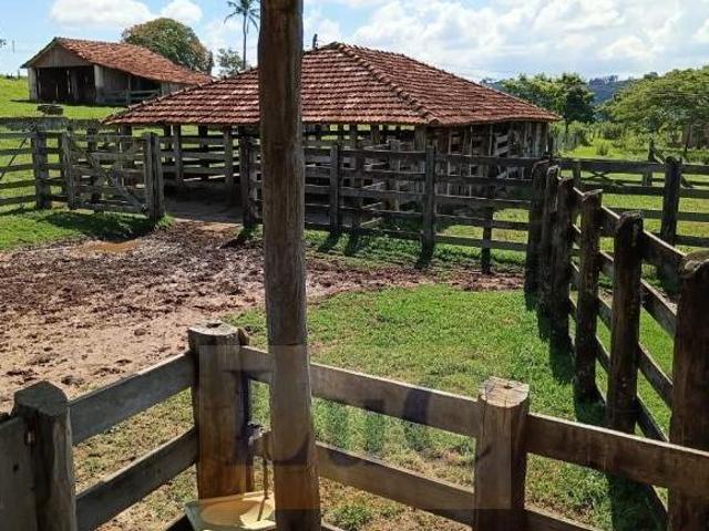 Excelente Rural no Centro em Marília Usado