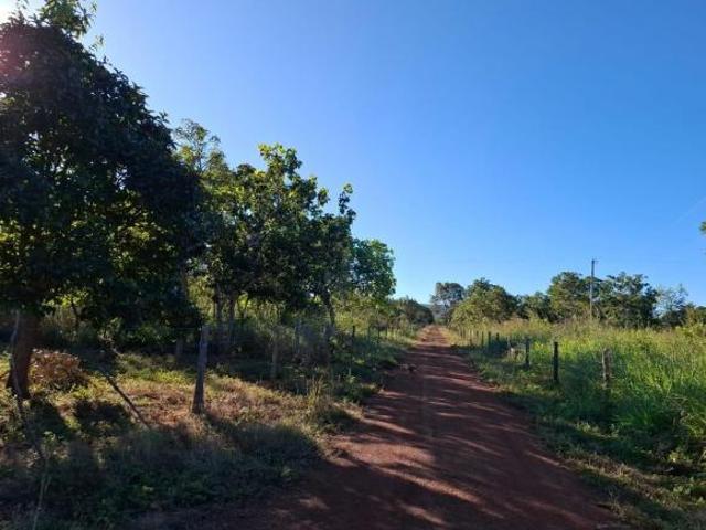EXCELENTE TERRA em Uruana de Minas às margens do Rio São Miguel