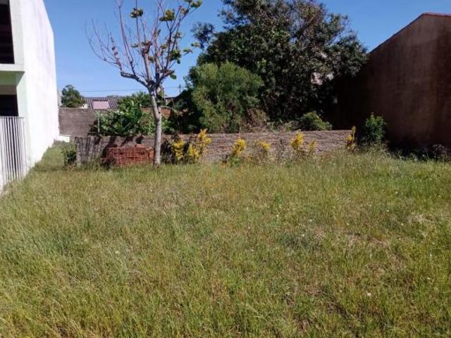 EXCELENTE TERRENO