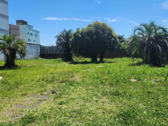 Excelente terreno